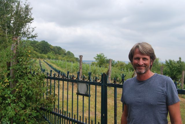 Bretagne et Normandie : des vignerons bio à l'assaut de nouvelles ...